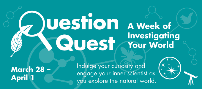 Question Quest - Children’s Discovery Museum of San Jose