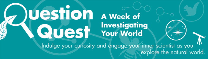Question Quest: A Week of Investigating Your World - Children’s ...