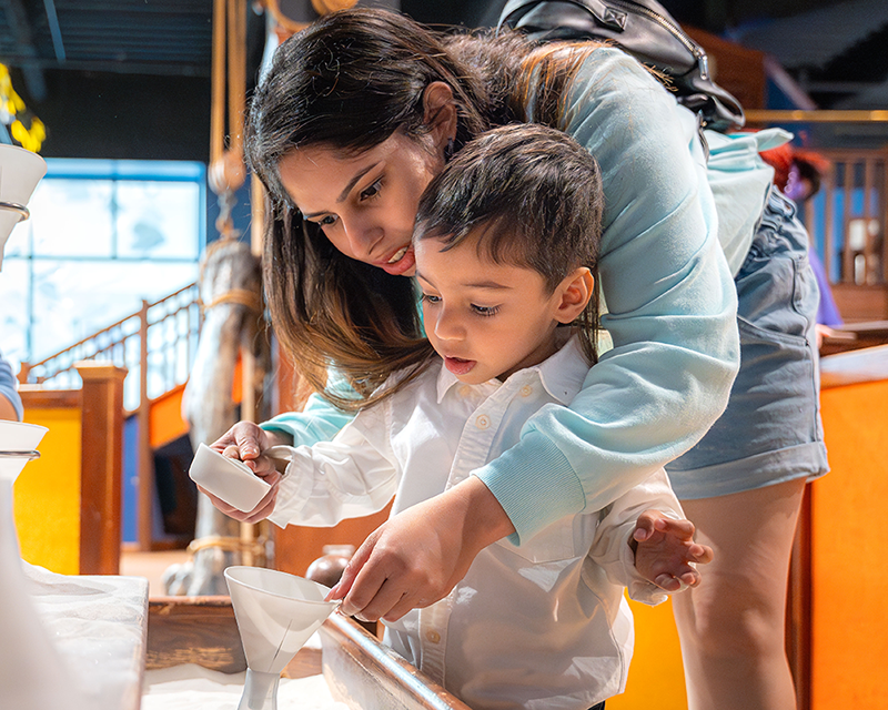 Exhibits - Children's Discovery Museum of San Jose