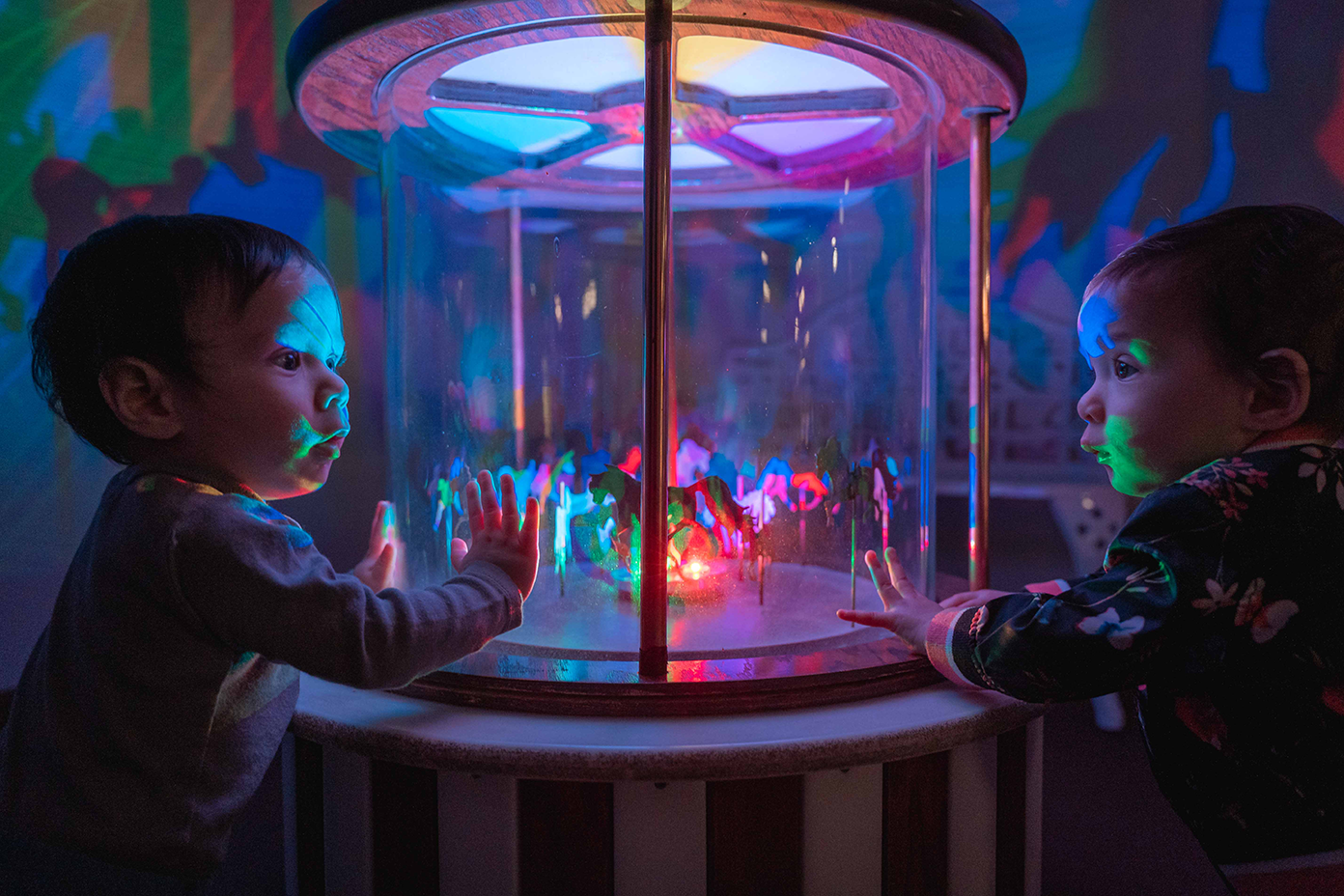 Wonder Cabinet - Children's Discovery Museum of San Jose